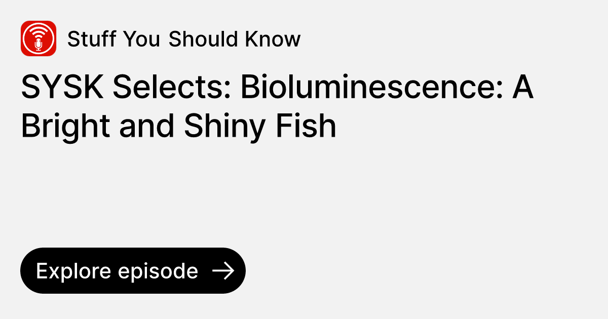 Episode: SYSK Selects: Bioluminescence: A Bright and Shiny Fish | Ask ...