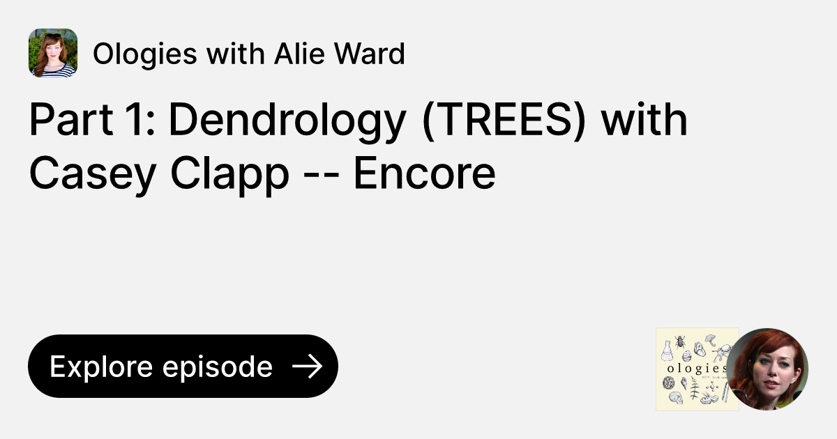 Episode: Part 1: Dendrology (TREES) with Casey Clapp -- Encore | Ask Ologies with Alie Ward