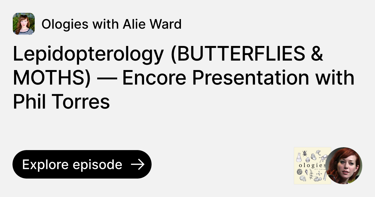 Episode: Lepidopterology (BUTTERFLIES & MOTHS) — Encore Presentation ...
