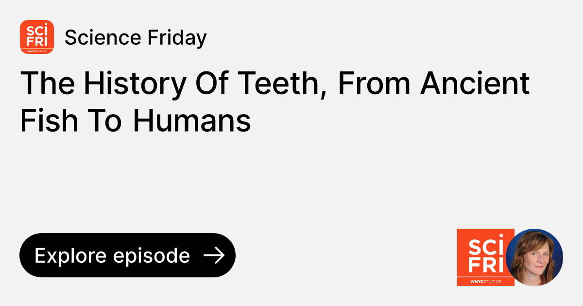 Episode: The History Of Teeth, From Ancient Fish To Humans | Ask ...