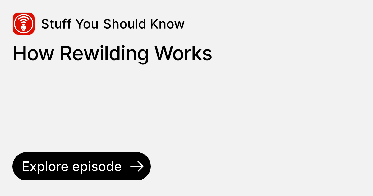 Episode: How Rewilding Works | Ask Stuff You Should Know