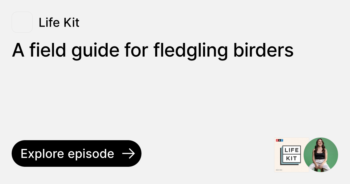 Episode: A field guide for fledgling birders | Ask Life Kit