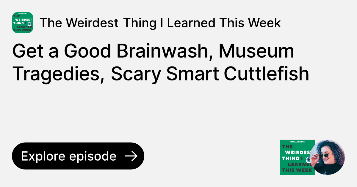 Episode: Get a Good Brainwash, Museum Tragedies, Scary Smart Cuttlefish ...