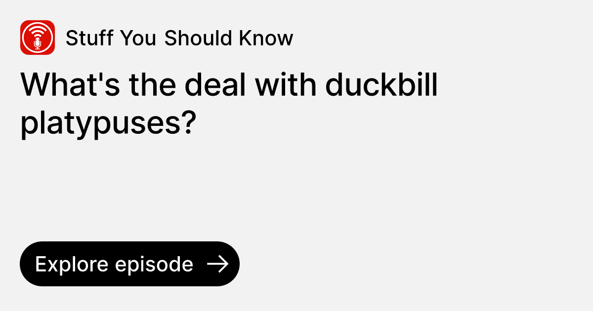 Episode: What's the deal with duckbill platypuses? | Ask Stuff You Should Know